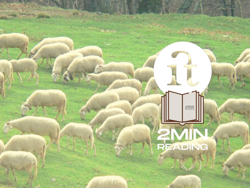 GARFAGNINA – ANTICHE RAZZE